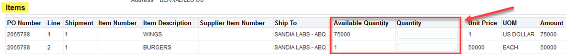 E-Invoice – Working with Sandia