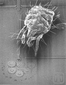 MEMS Video & Image Gallery – Microsystems Engineering, Science and ...