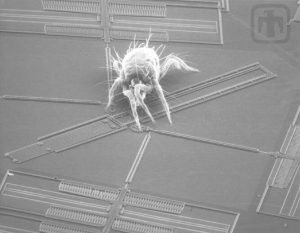 MEMS Video & Image Gallery – Microsystems Engineering, Science and ...