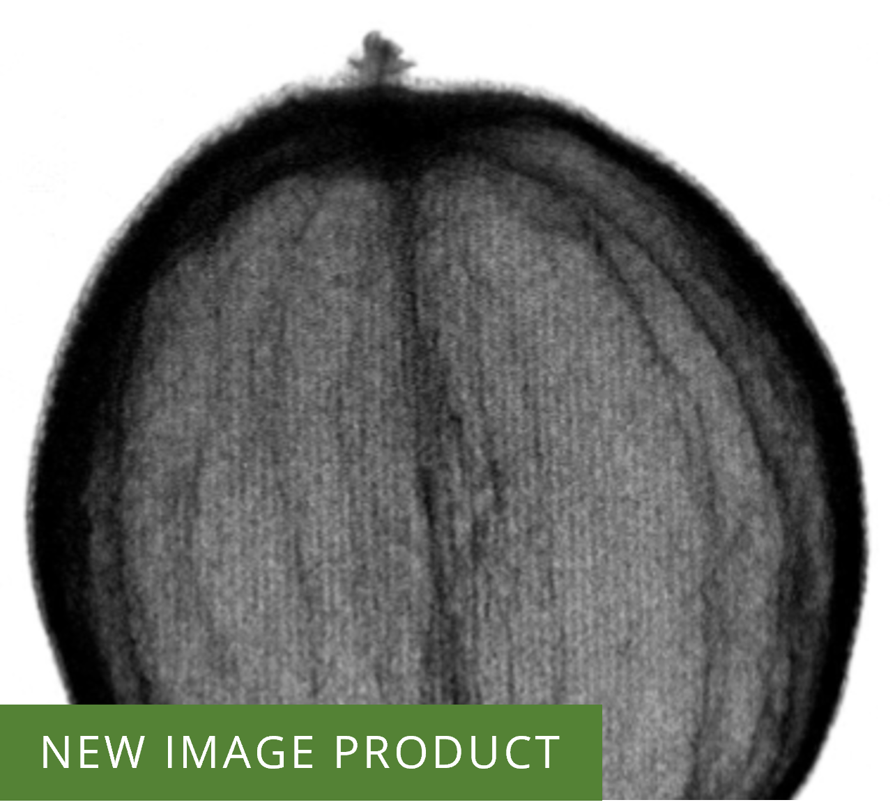X-Ray Phase Contrast Imaging – Microsystems Engineering, Science and ...