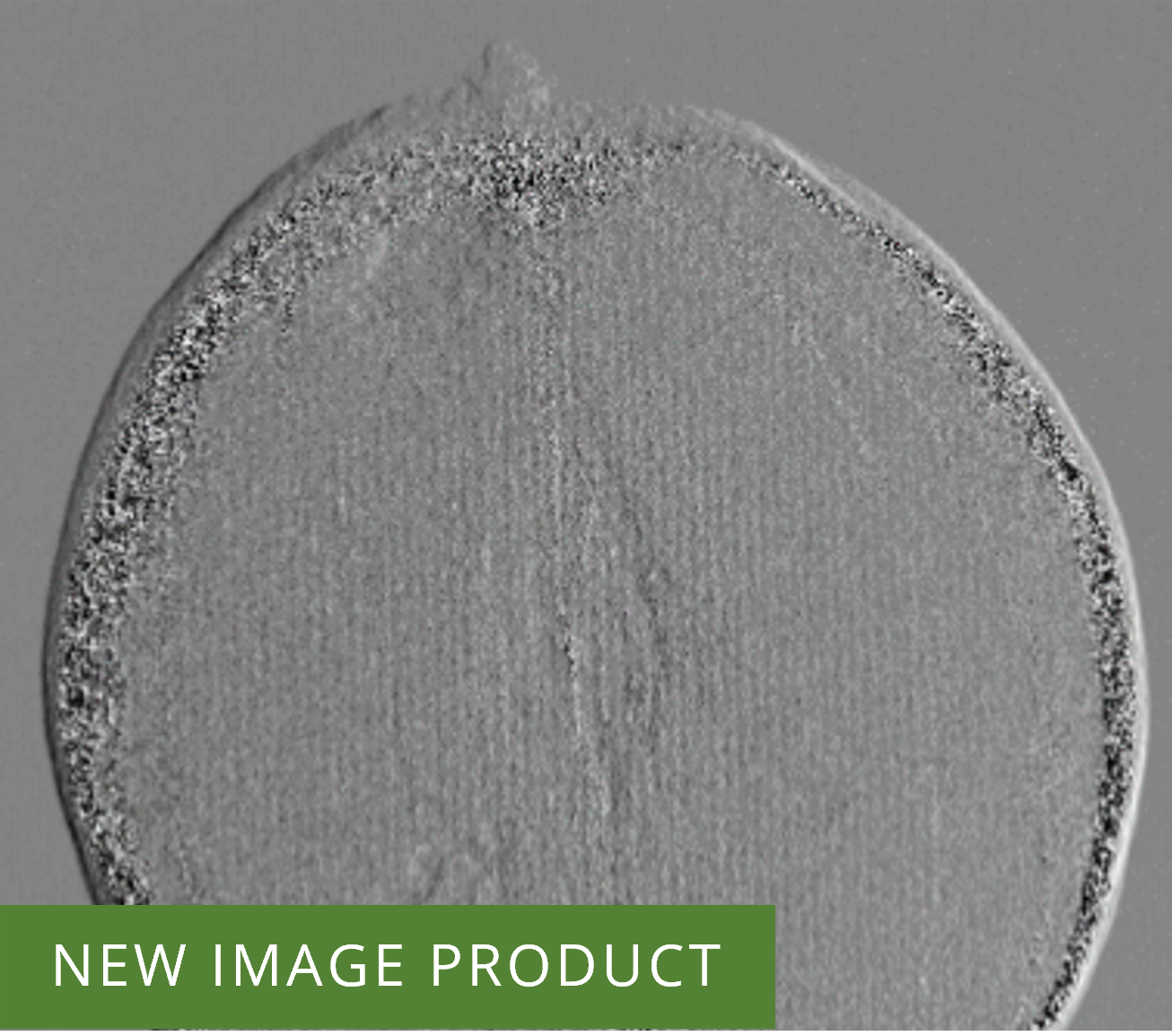 X Ray Phase Contrast Imaging Microsystems Engineering Science And Applications Mesa