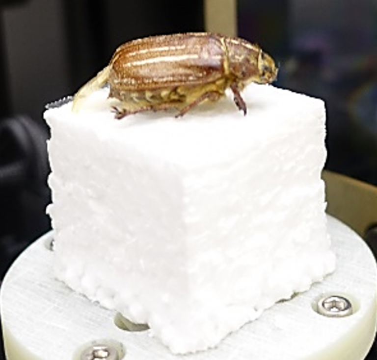 X-Ray Phase Contrast Imaging – Microsystems Engineering, Science and ...