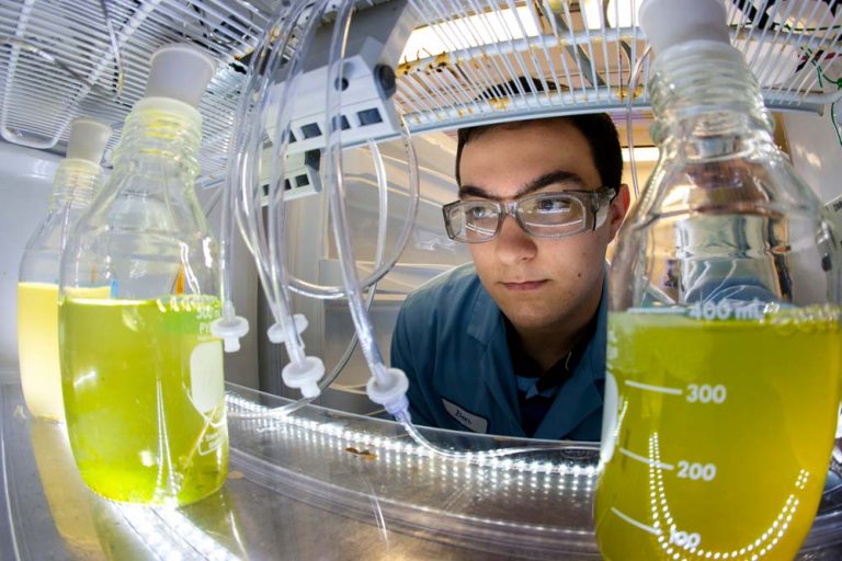 Applied Biosciences Lab (ABL) – Research