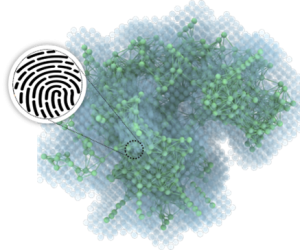 Deeper insight into radiation-formed defects – Research