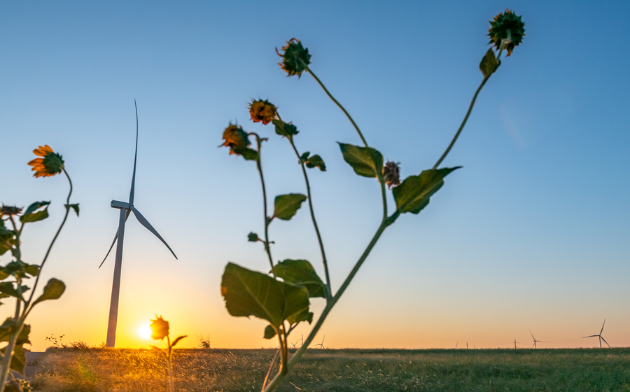 AWAKEN the wind – News