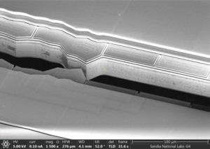 Trapped Ions – Quantum
