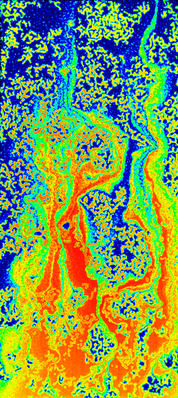 Fracture Flow – Fluid Flow Visualization