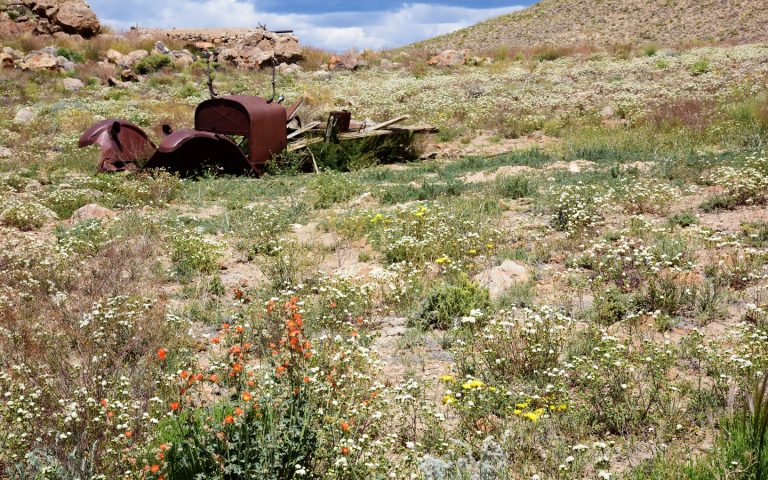 Gallery – Tonopah Test Range (TTR)