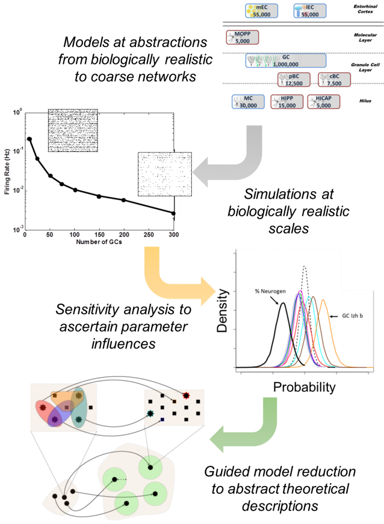 Modeling and Simulation – Sandia Neuroscience