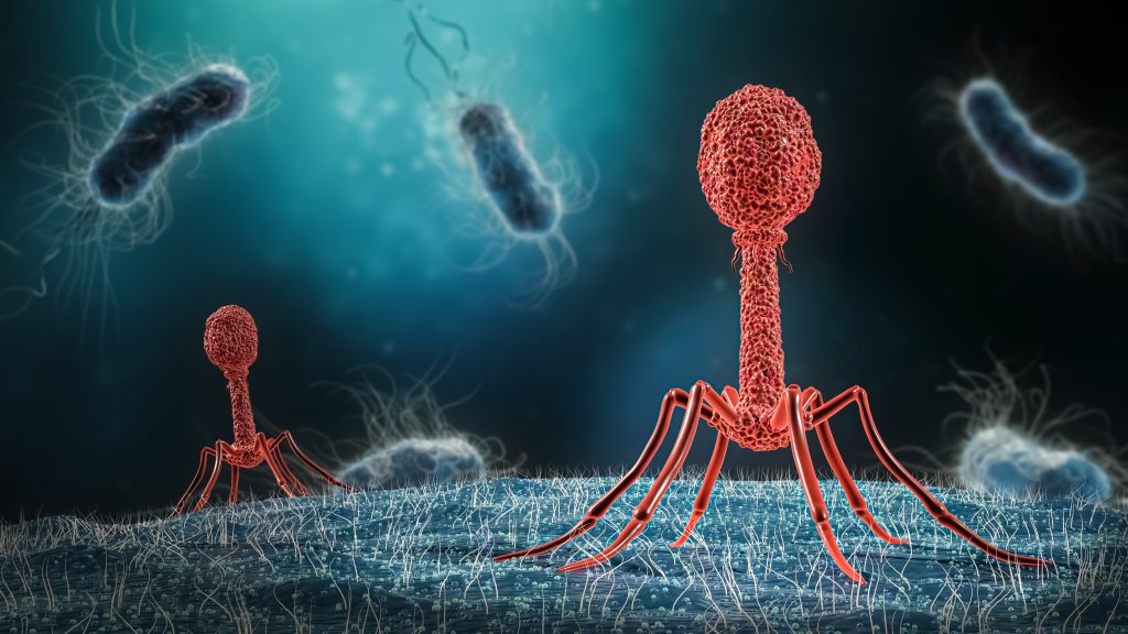 Therapeutic Phage Cocktails – Licensing and Technology Transfer