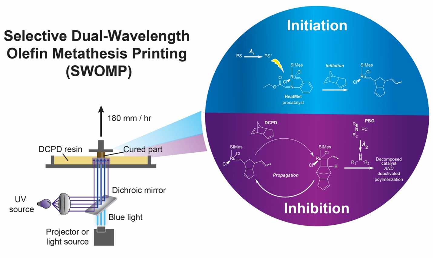 Selective Dual Wavelength Olefin Metathesis 3D Printing (SWOMP ...