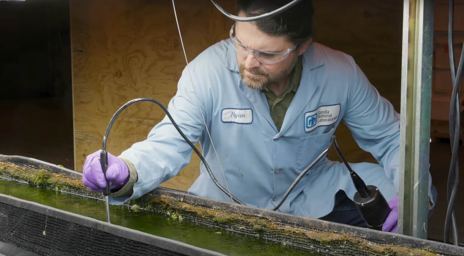 Algae scrubbing for waterway remediation and biofuel production – Energy