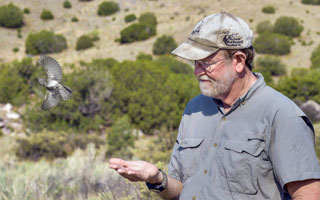 The early biologist catches the bird – LabNews