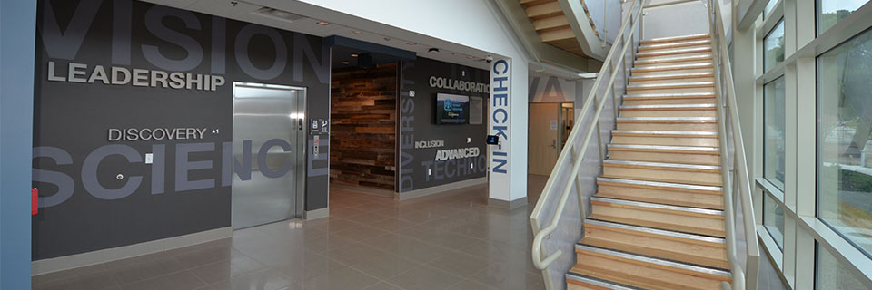 A design of their own – LabNews