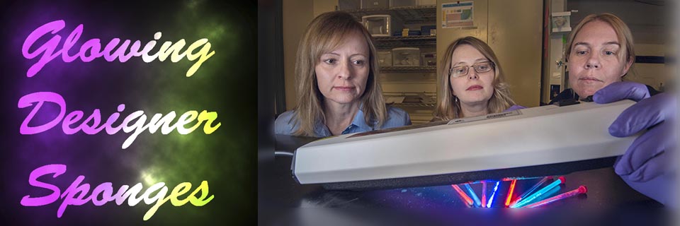 Glowing designer sponges – LabNews