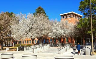 The arrival of Spring – LabNews