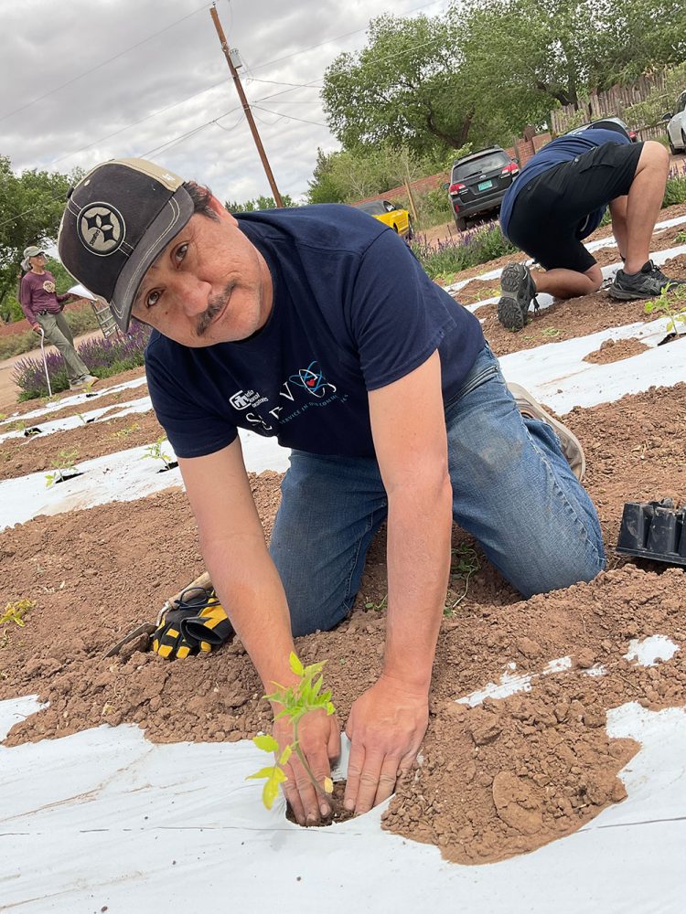 Managers plant tomatoes for food pantries – LabNews