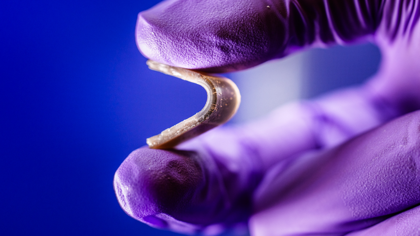 Sandia National Laboratories