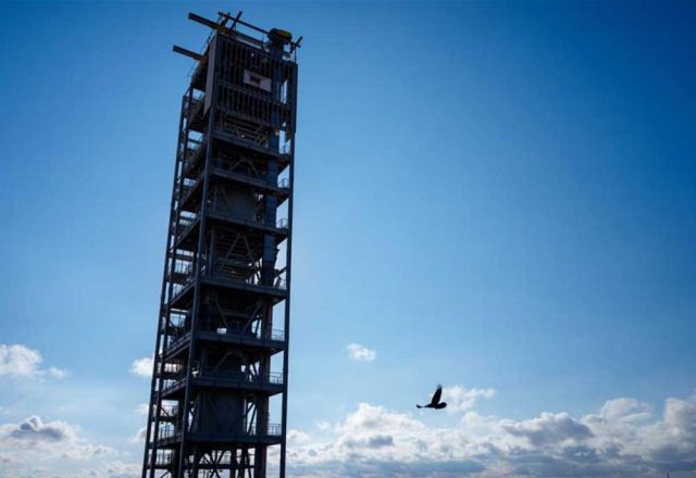 G3P3 nears completion – LabNews